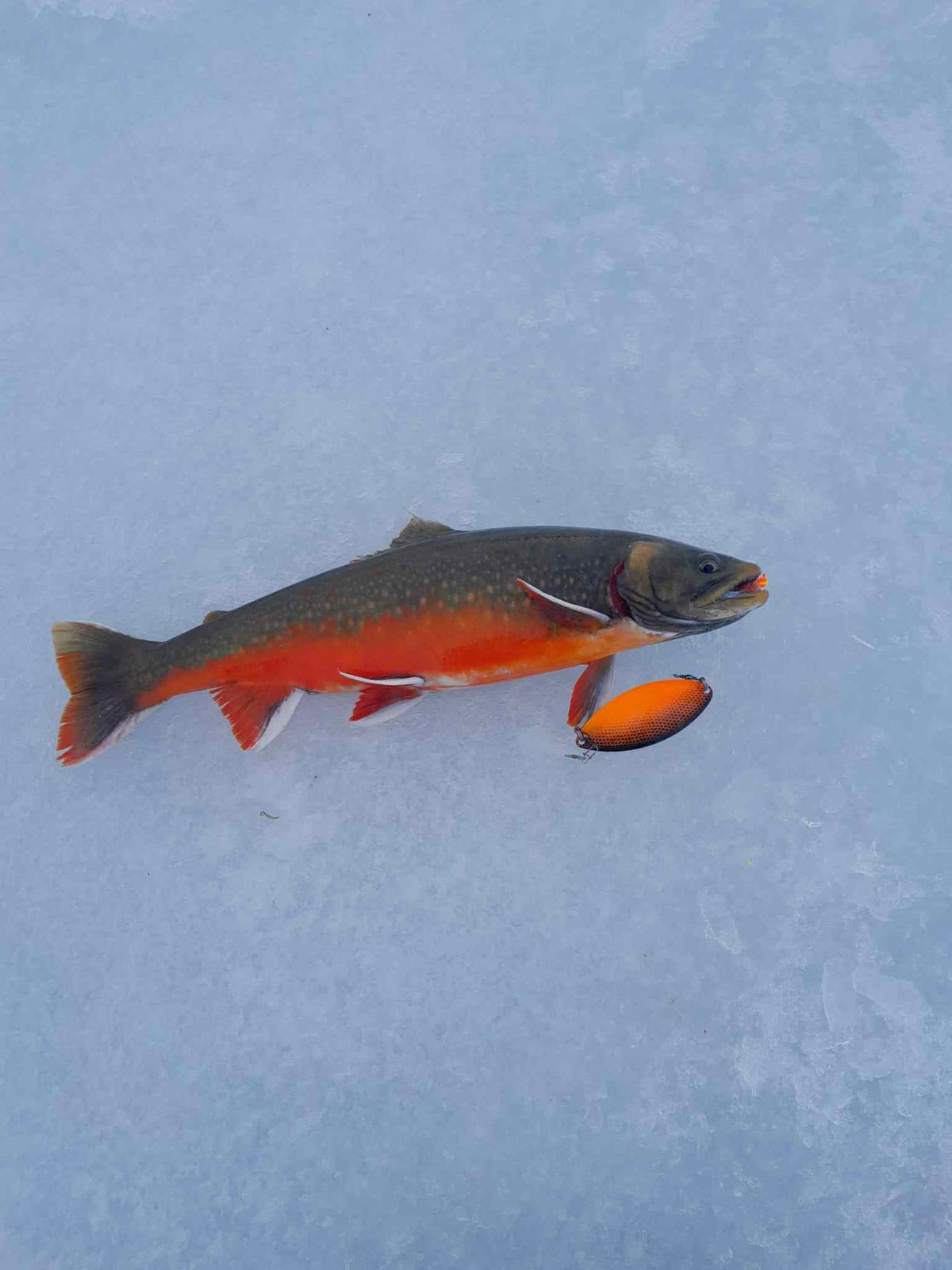 Tiura Uistin - Kotimaiset käsintehdyt uistimet ja pilkit – Tiura-Uistin