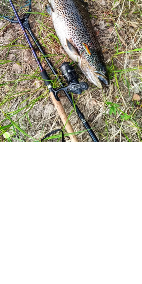 Tiura Uistin - Kotimaiset käsintehdyt uistimet ja pilkit – Tiura-Uistin