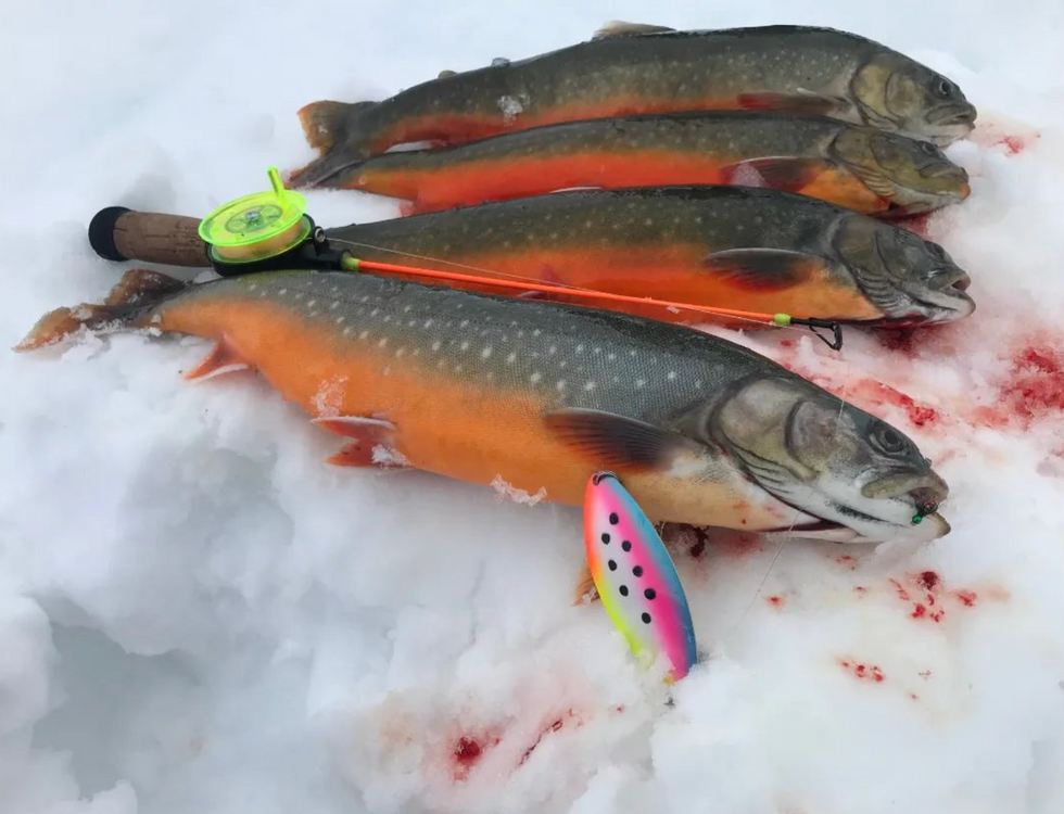 Tiura Uistin - Kotimaiset käsintehdyt uistimet ja pilkit – Tiura-Uistin