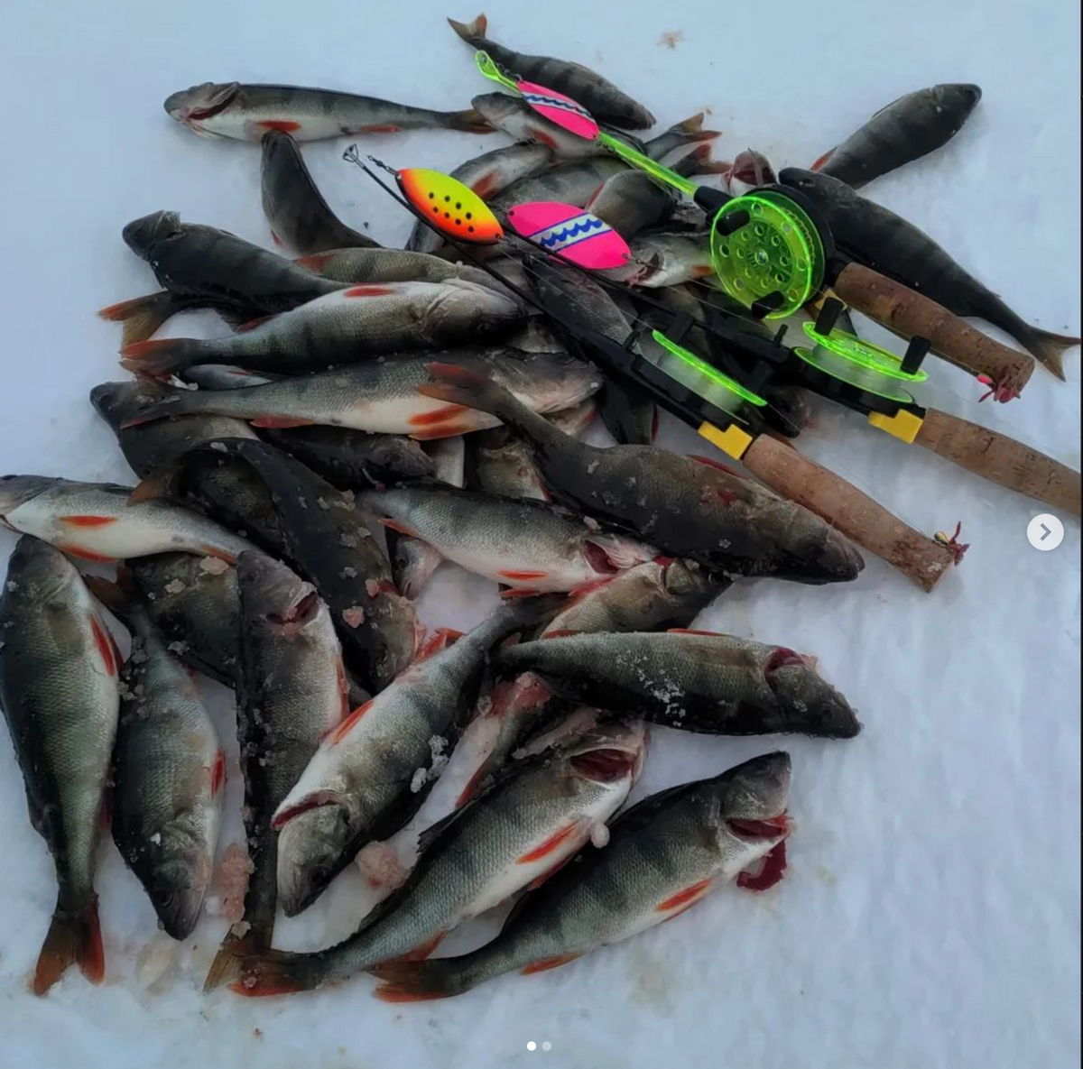 Tiura Uistin - Kotimaiset käsintehdyt uistimet ja pilkit – Tiura-Uistin